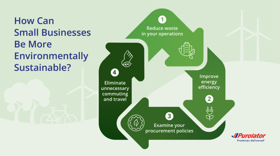 Ask an Expert: Adopting Practical Environmental Sustainability for Your ...